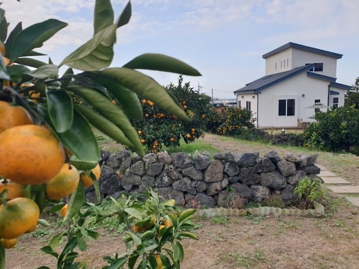 넓은 감귤밭 2층집 독채펜션/귤체험무료/불멍/바베큐 - Jeju-si
