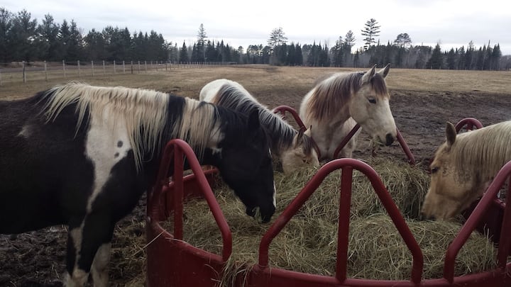 Top 10 Ranches To Stay In Minnesota, USA - Updated 2025 | Trip101