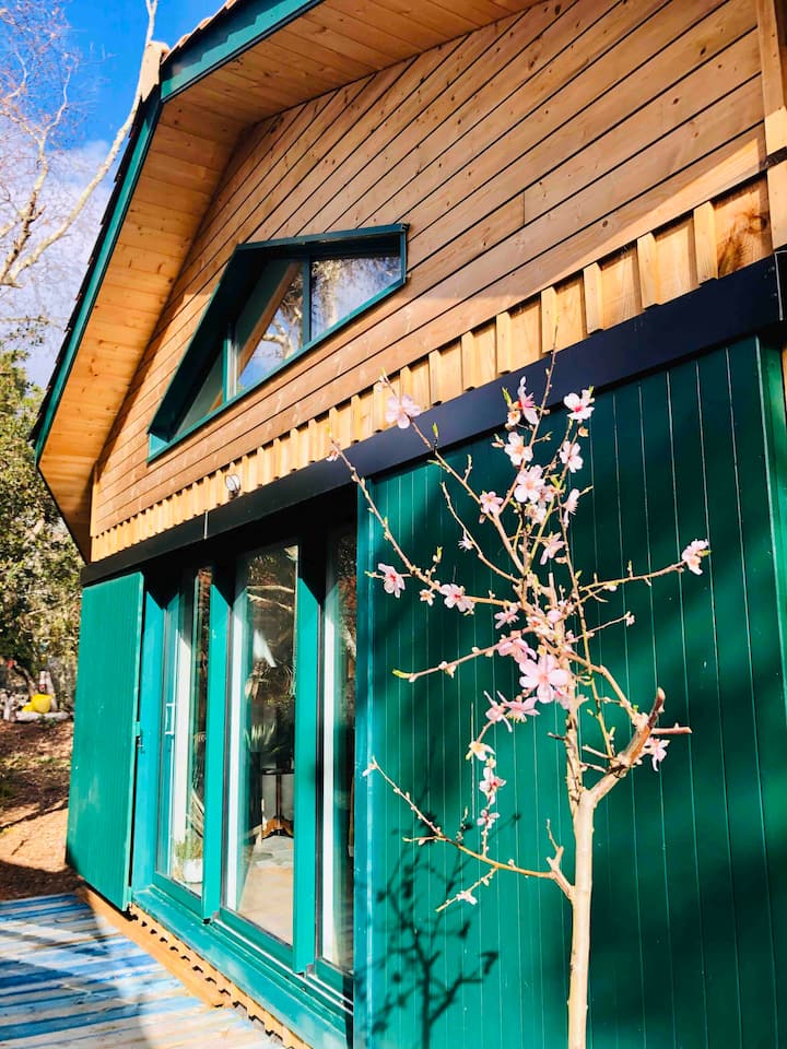 Kalika Maison Chaleureuse En Bois Au Lac - Lacanau