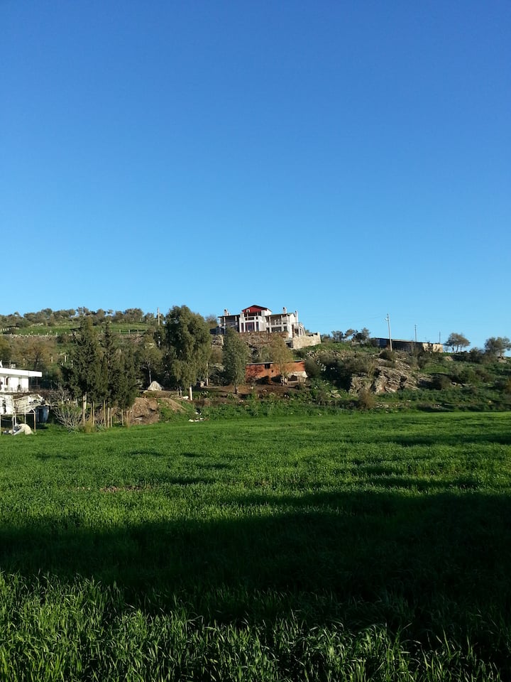 Artisan Home - Milas