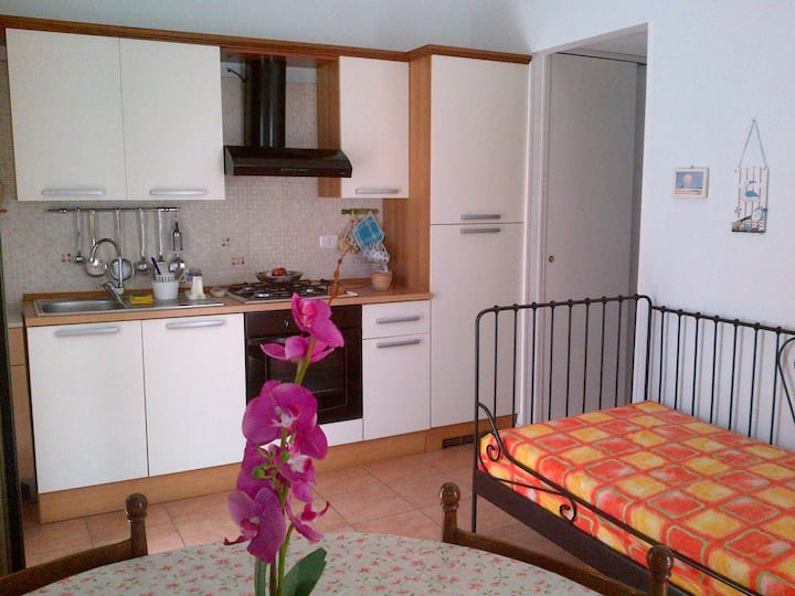 Casa Vacanze Al Mare Cir 069099cvp0145 - Vasto