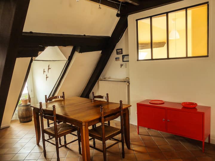 Appartement Atypique En Centre Ville Historique - Dijon
