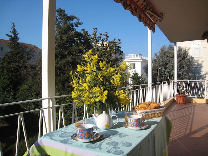 2 Pièces Basse Californie - Cannes