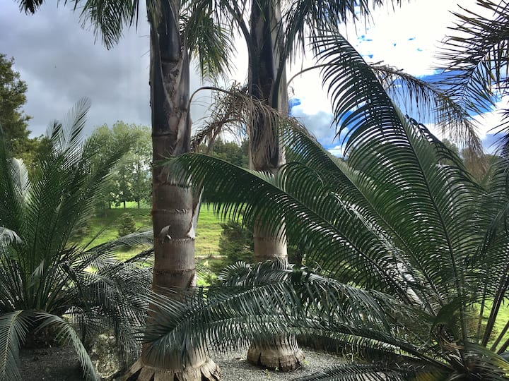 Kauri Retreat - A Quiet Beautiful Paradise. - Hikurangi