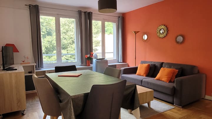 "Entre Basilique Et Cathédrale" 3 Chambres 6 Pers - 里昂