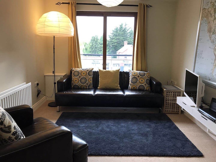 Beautiful Apt In Belfast Facing Stormont Estate - Belfast