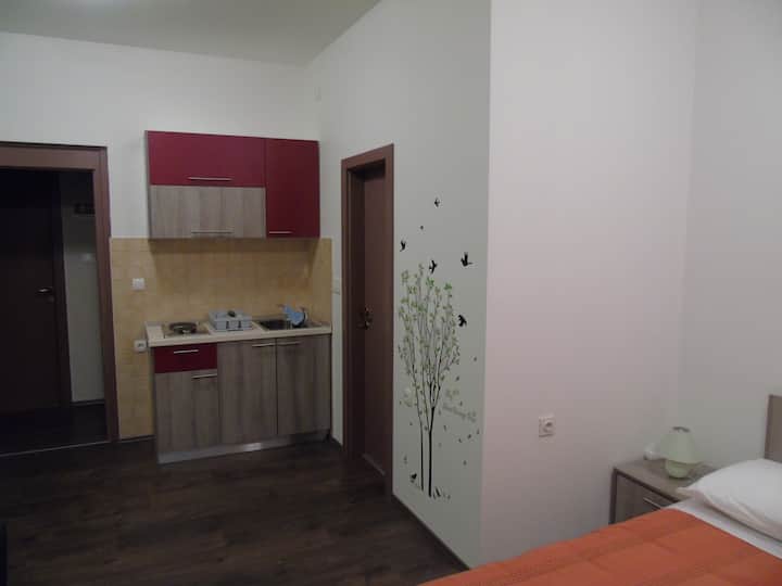 Studio Apartment For Two #7 - Bibinje