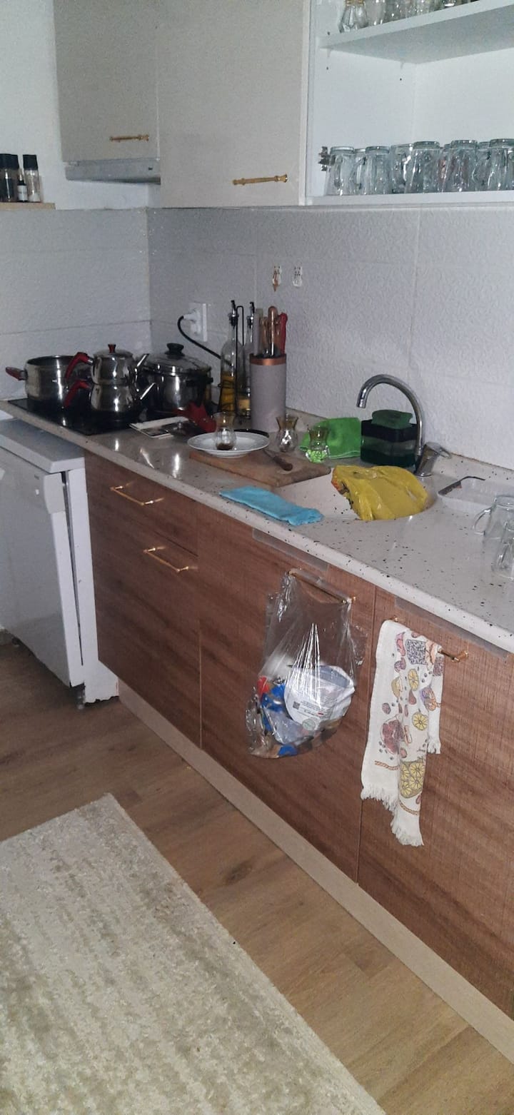 Antalya Konyaaltı Mustakil Evin Tamamı - Konyaaltı