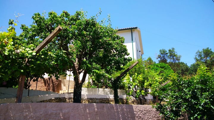 Sunny And Calm T1 Near Alma Shopping (Solum) - Coimbra