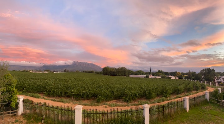 Family Home In The Winelands - Wellington
