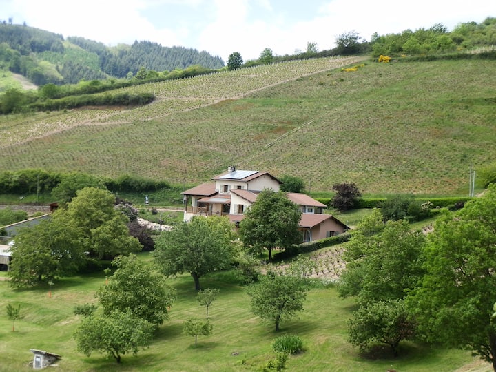 Le Raisin Bleu Gite  Vue Panoramique - Fleurie
