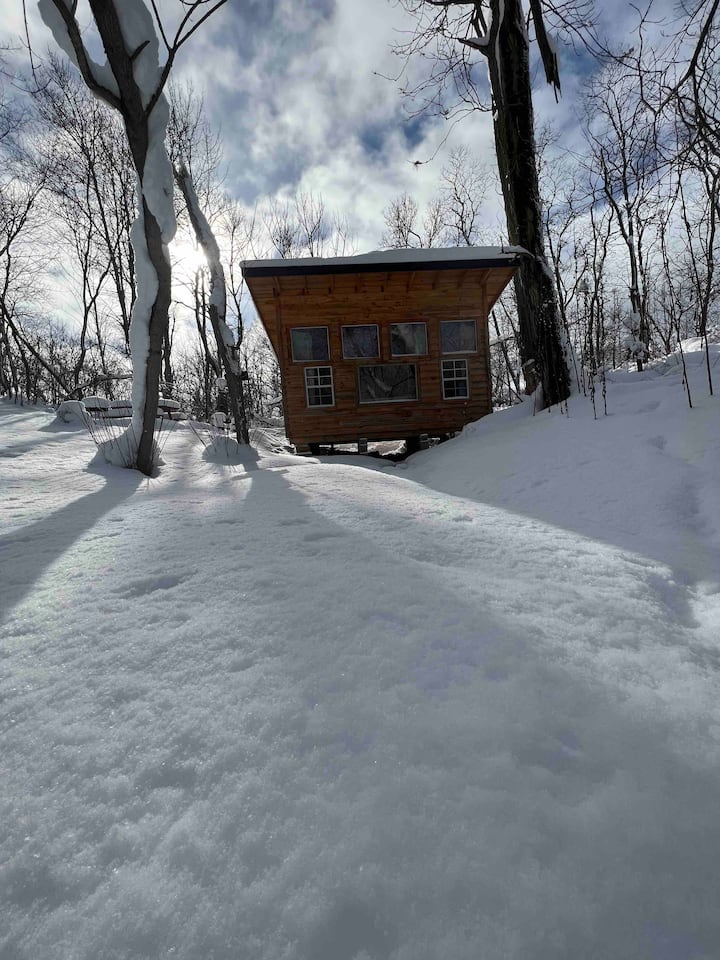 Stars And Sage Farm
Hippie Hideaway - Selkirk Shores State Park, Pulaski
