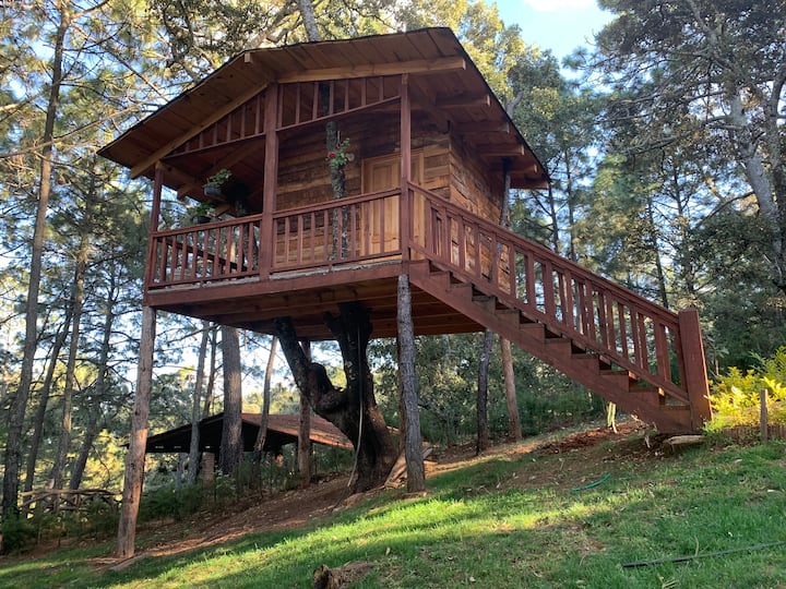 Cabañas Colibrí - Michoacán