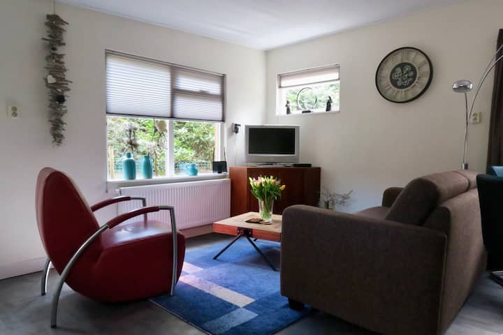 Knusse Recreatiewoning In De Bossen - Drenthe