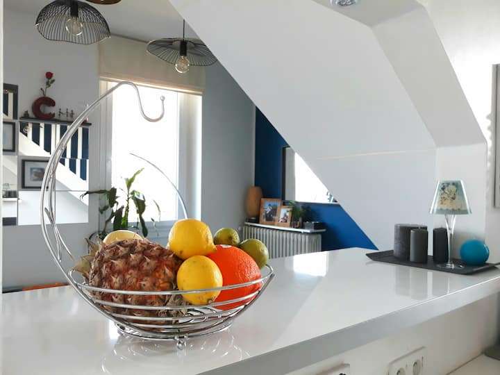 Duplex De 140 M2 Près Du Lac - Évian-les-Bains