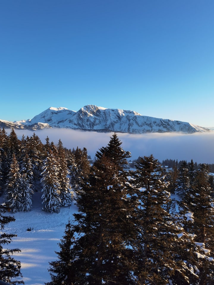 35 M2 Pied Des Pistes, Vue Magnifique Classé 3*** - Chamrousse