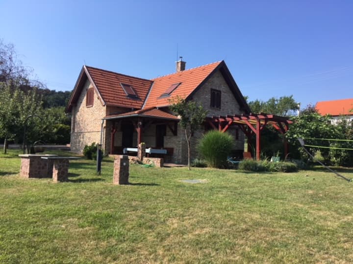 Paradise In Kali Basin - Révfülöp