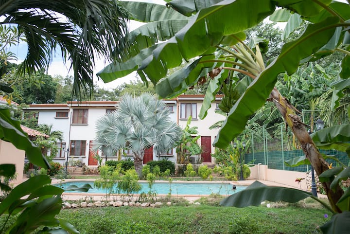 Dream Of The Sea Suenos #12 - Tamarindo