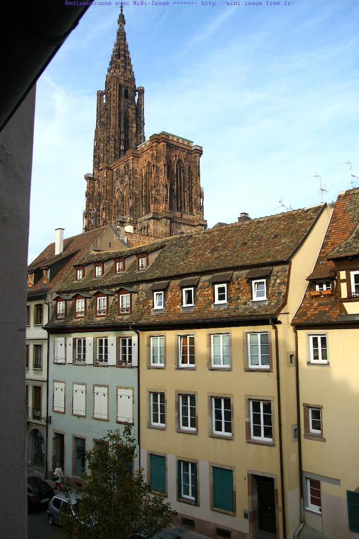Appartement 1 Pièce Vue Cathédrale - Strasbourg