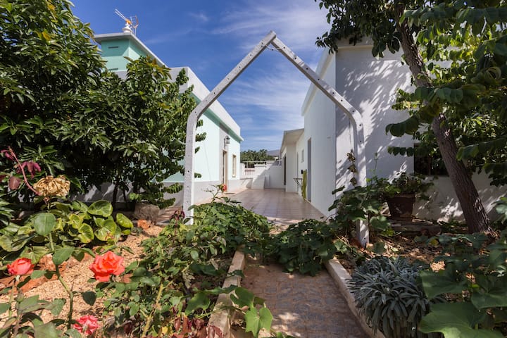 Chameleons' House - Loulé