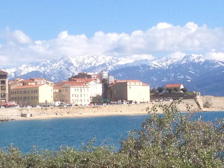 Ajaccio Vieille Ville. Très Grand Studio. - Ajaccio