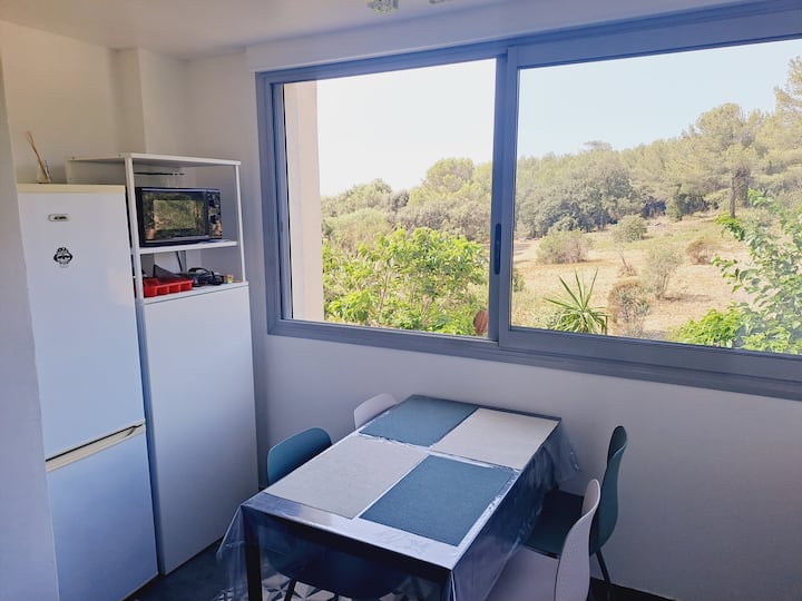 Appartement Mer Avec Piscine 
 Wifi - Plage de Sausset les pins