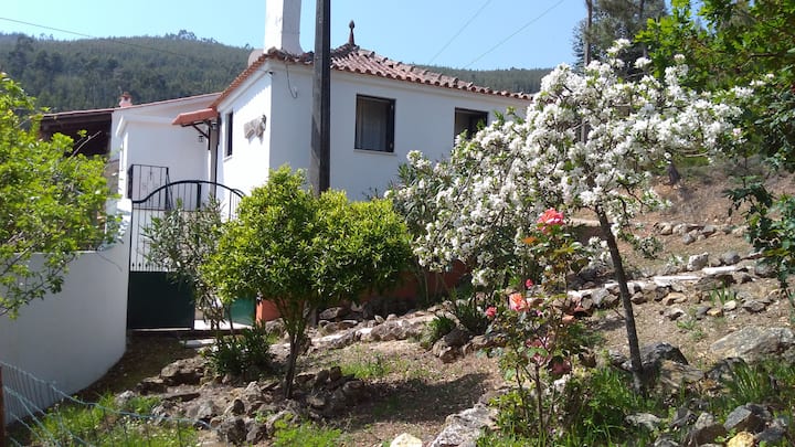 Country House Milhariça - Castanheira de Pera