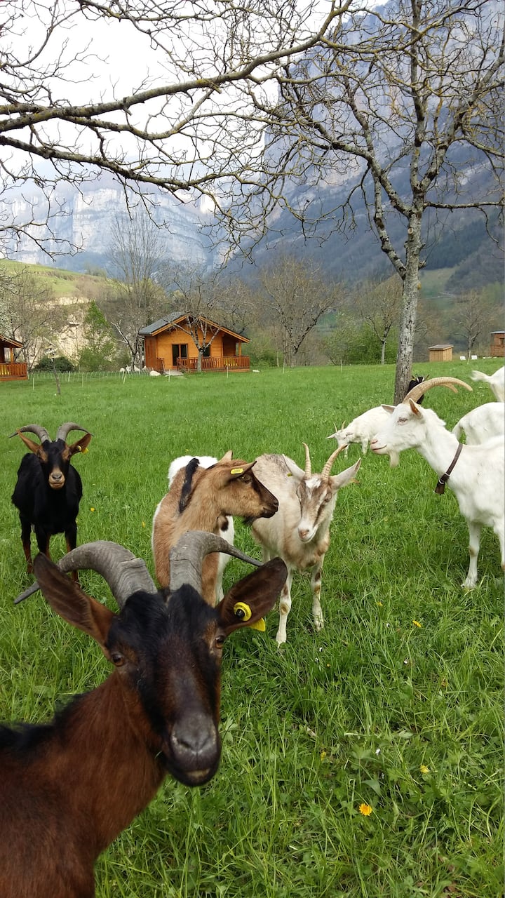 Chalet Du Vercors, Au Cœur De La Ferme Du Clos - Pont-en-Royans