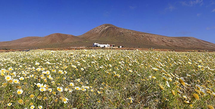 Casa Rural Con Piscina Perfecta Para Desconectar - Lanzarote