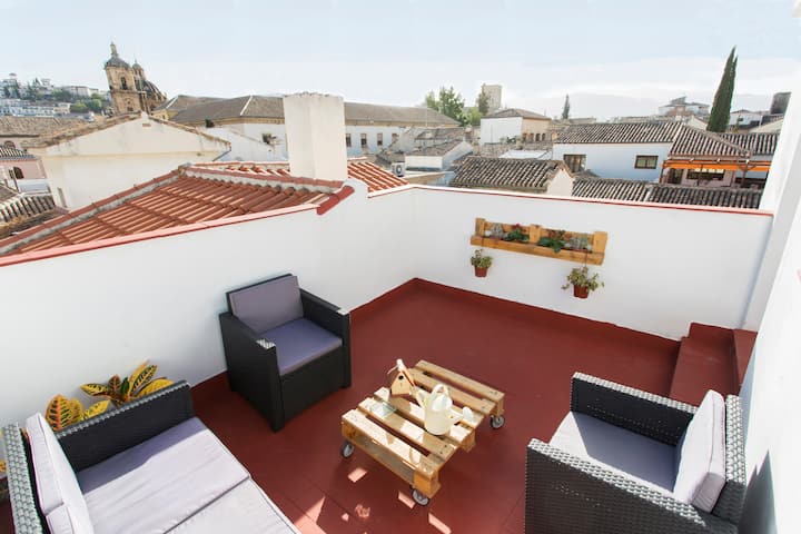 Duplex Penthouse With Terrace - Granada, España