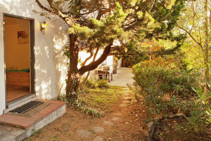 Cozy Studio In Berkeley Hills/
Long Term Discounts - Berkeley, CA