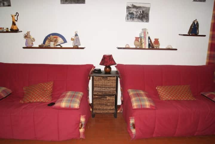 Stud Imp 3 N18 - Saintes-Maries-de-la-Mer
