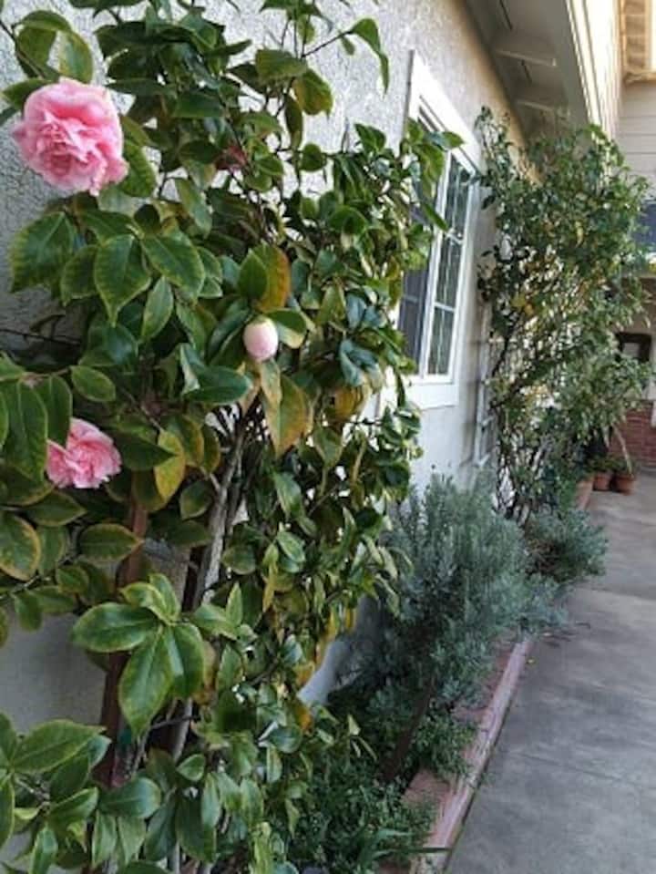 Super Comfortable Bed W/private Bath, Quiet Home. - Woodside, CA