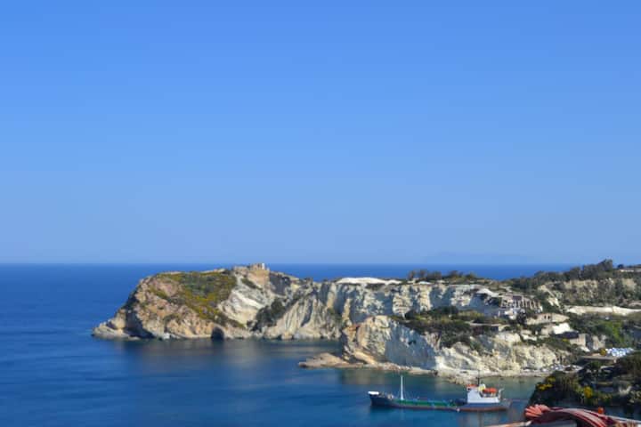 Gorgonia-marideaponza - Ponza