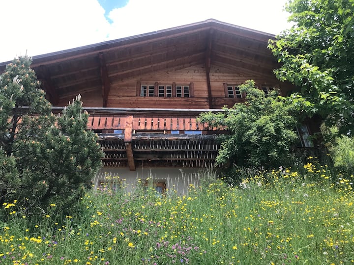 Cozy Hasliberg Chalet - Hasliberg