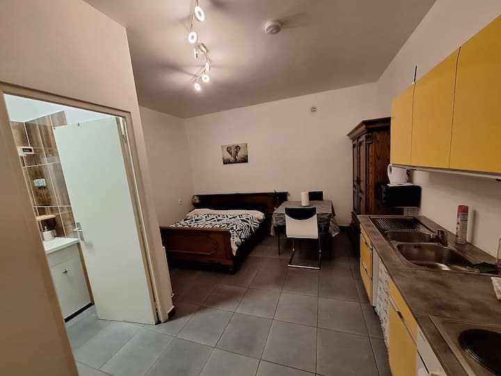 Studio Meublé Proche De Luxembourg, Cattenom - Thionville