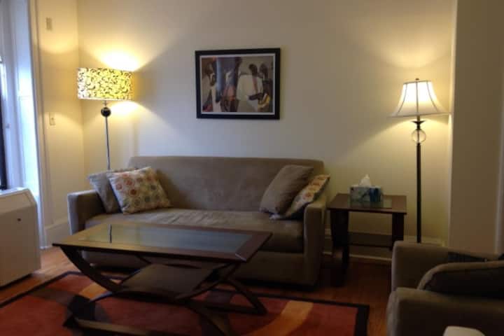 Harlem Style Spacious And Sunny - New York City