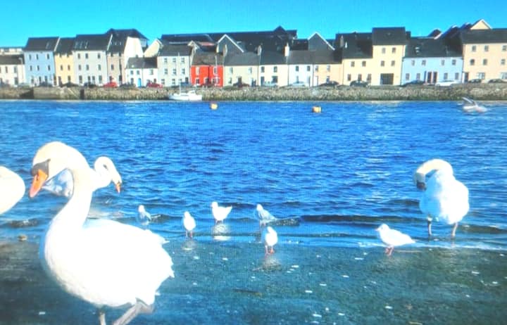 Luxury 6 Bedroom Detached Property Galway City. - Galway