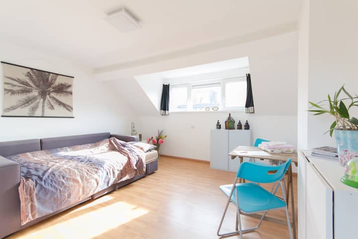 Cosy Top Floor Studio With Private Shower+toilet - Antwerp