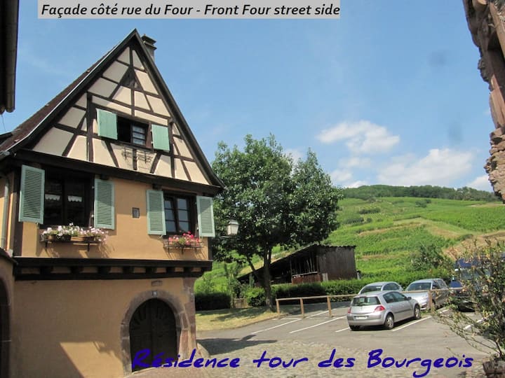 Ar-sud Face Vosges Vignoble Confortable - Ammerschwihr