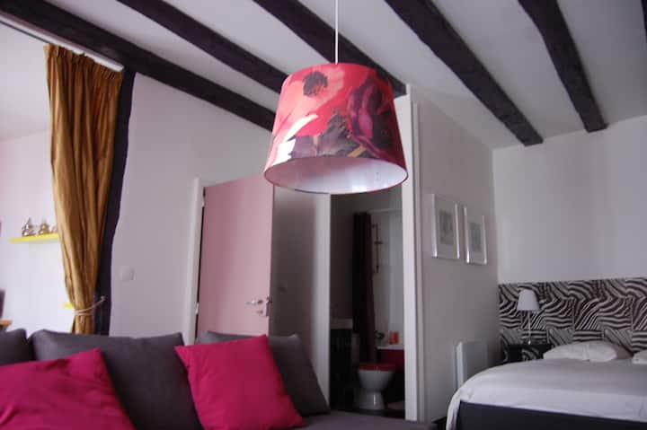T1 Bis Atypique Centre Médiéval - La Roche-Posay