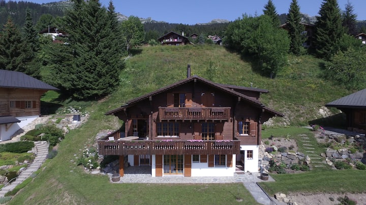 Stunning Swiss Chalet. - Leysin