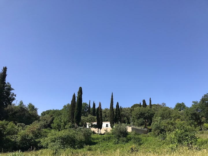 Corfou, Villa Coco , Un Lieu Convivial - Korfu