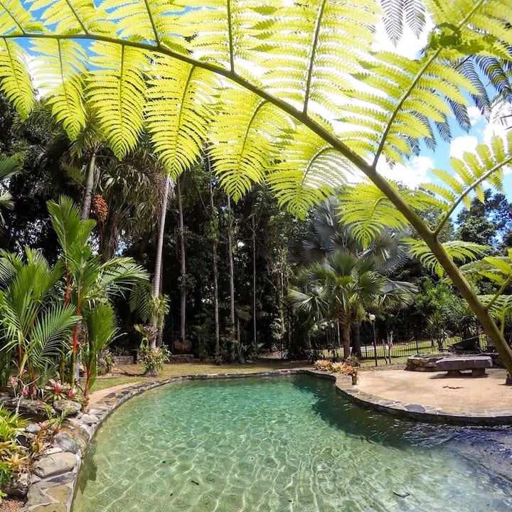 Morris House (Fnq) - 3 Bedroom With Pool - Cairns
