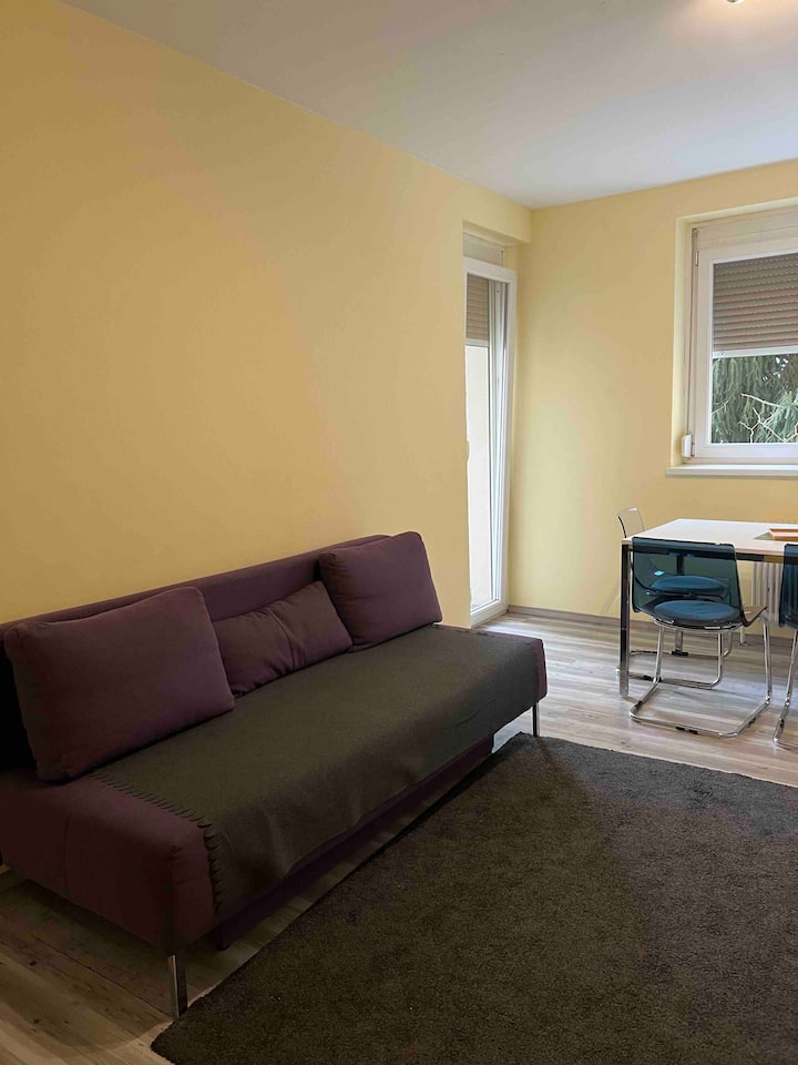 Sweet Apartment + Free Parking - Graz