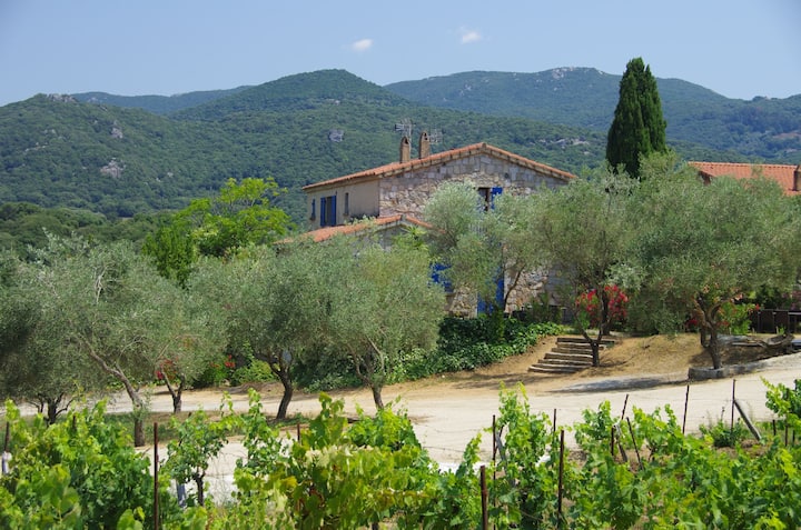 Gite Erbaggio 3, Mer 6 Km, Wifi, Climatisation - Sartène