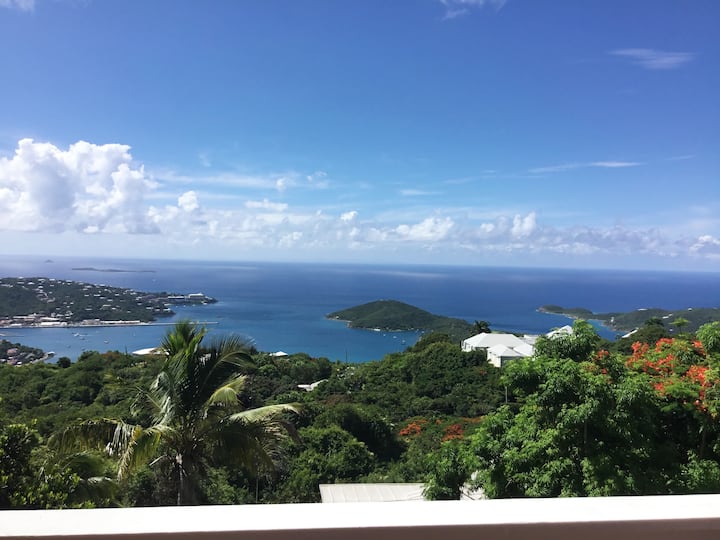Bay Leaf View - Saint Thomas