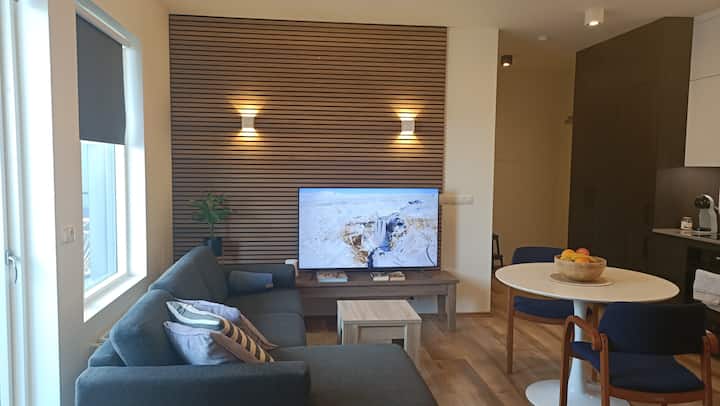Welcoming B&b Apartment With Ocean View - Reykjavík