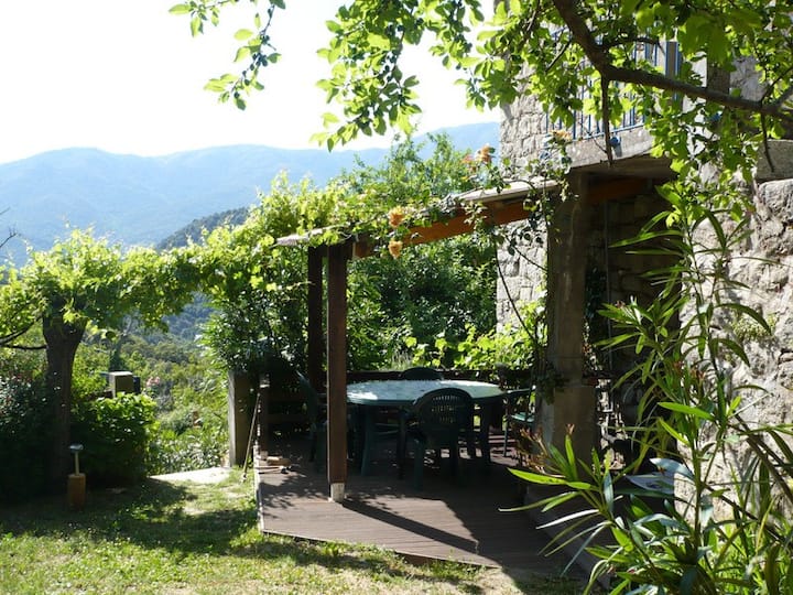 Les Chalets Et Gite Du Haut Taravo (Rez De Jardin) - Bastelica