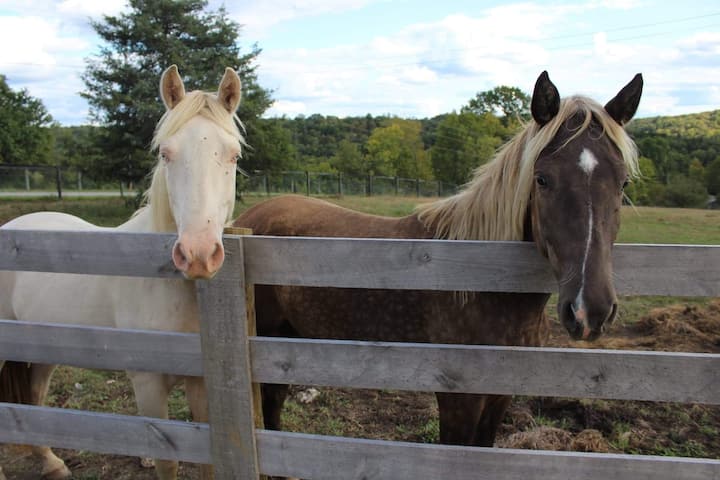 Blue Moon Horse Farm House - Kentucky